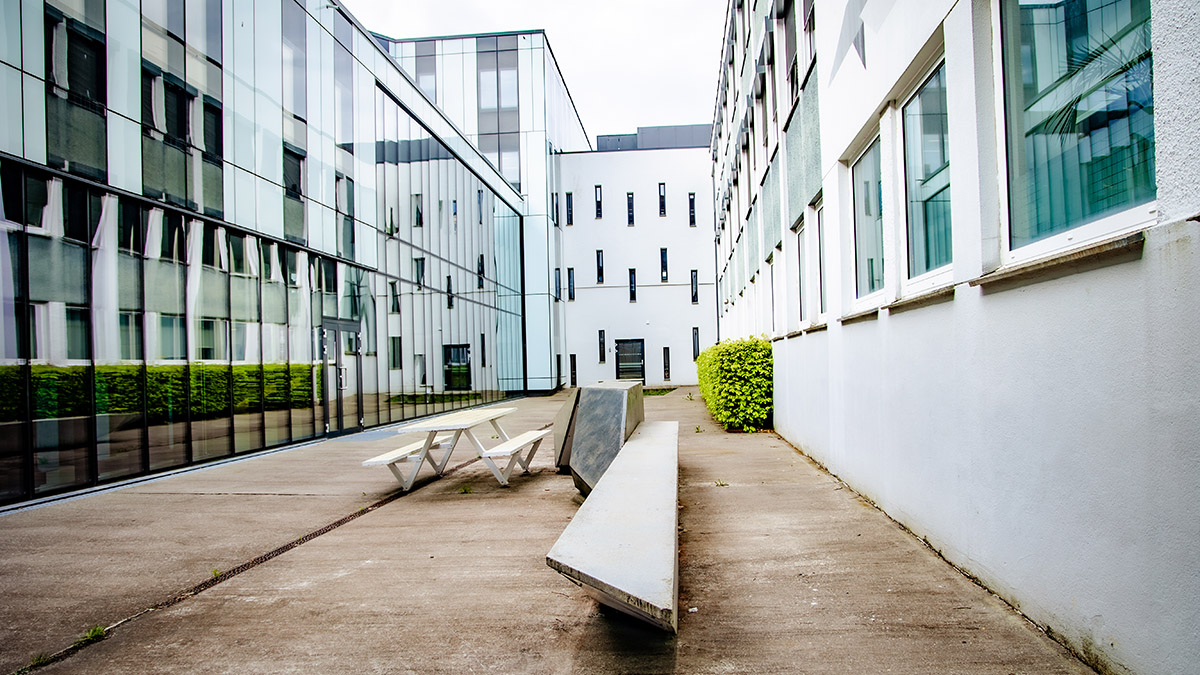 Hvordan kan en EMBA fra NHH gjøre deg mer relevant i en AI-fremtid? | NHH